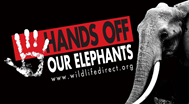 Blood ivory shipment returns to Kenya - ATC News by Prof. Dr. Wolfgang ...