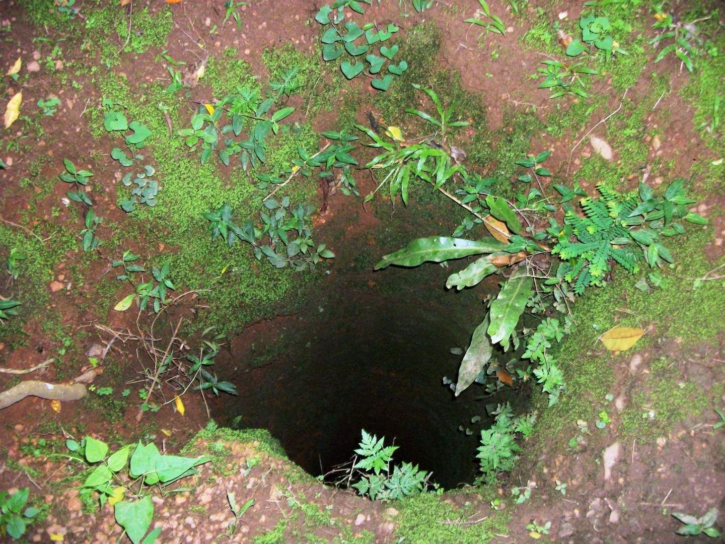 MY VISIT TO THE PITS OF WALUMBE, DEATH AT FIRST SIGHT - TUSNUG - ATC ...