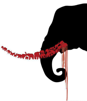 Blood ivory and pangolin scales seized in #Hanoi - ATC News by Prof. Dr ...