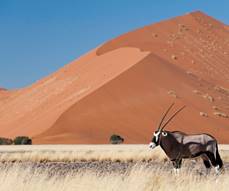 #WildernessSafaris - News Updates from #Namibia - ATC News by Prof. Dr ...