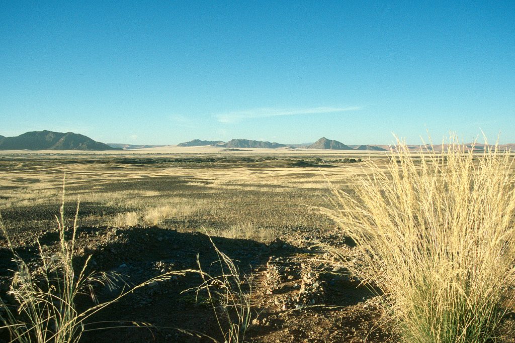 TravelComments.com - Namibia to re-open all National Parks! - ATC News ...