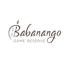 The return of the elephants to Babanango Game Reserve - ATC News by ...