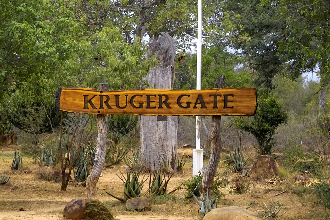 Kruger National Park: Heavy rain forces temporary closure of Phabeni ...