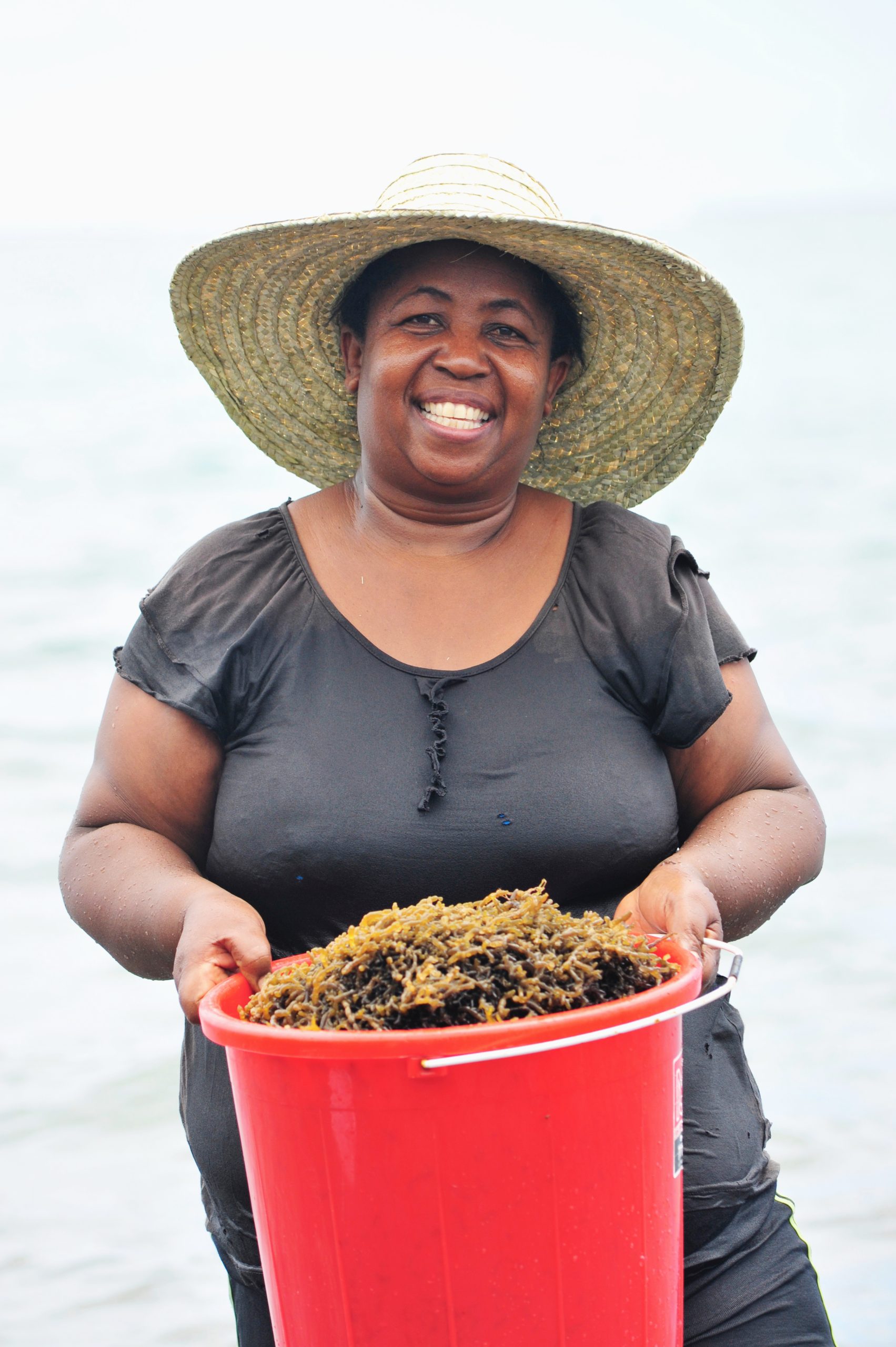 Marie-Aimée’s Seaweed Achards from Rodrigues Island - ATC News by Prof. Dr. Wolfgang H. Thome