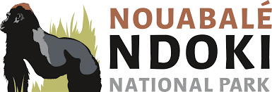 Congo looks to monetize its high-integrity forests - ATC News by Prof ...